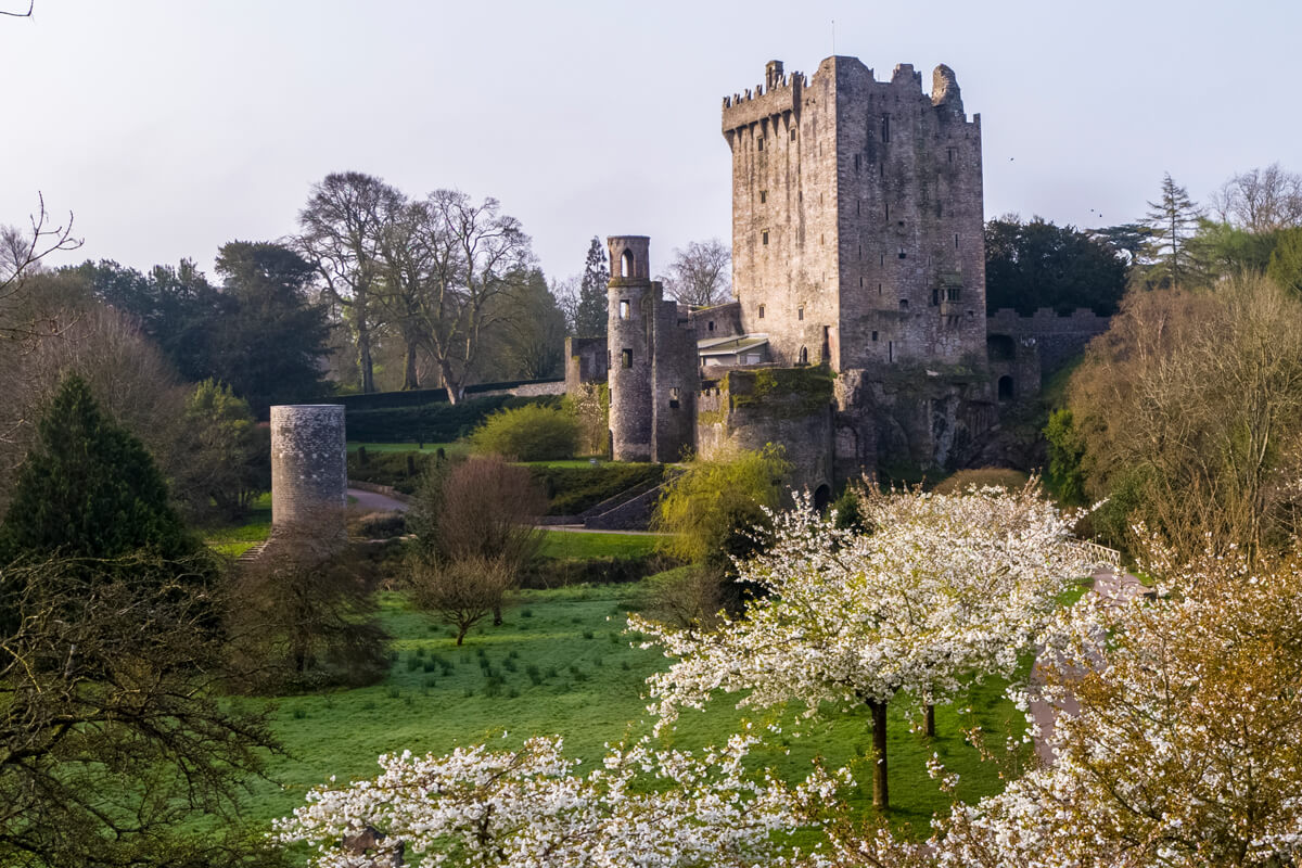 Discover the Magic of Blarney Castle in Ireland