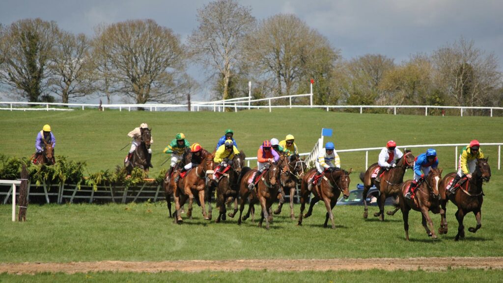 Punchestown Festival 2025: Horse Racing Event, Ireland